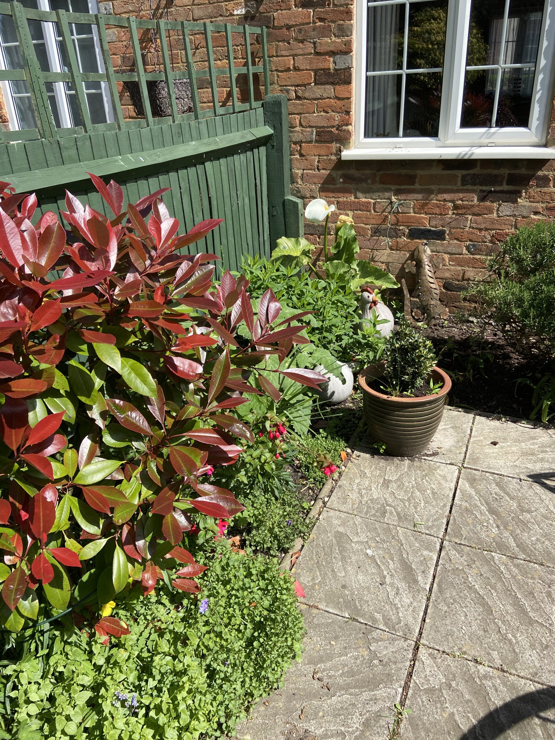 Case Study 2 | Sharp Garden Services : Sharp Garden Services